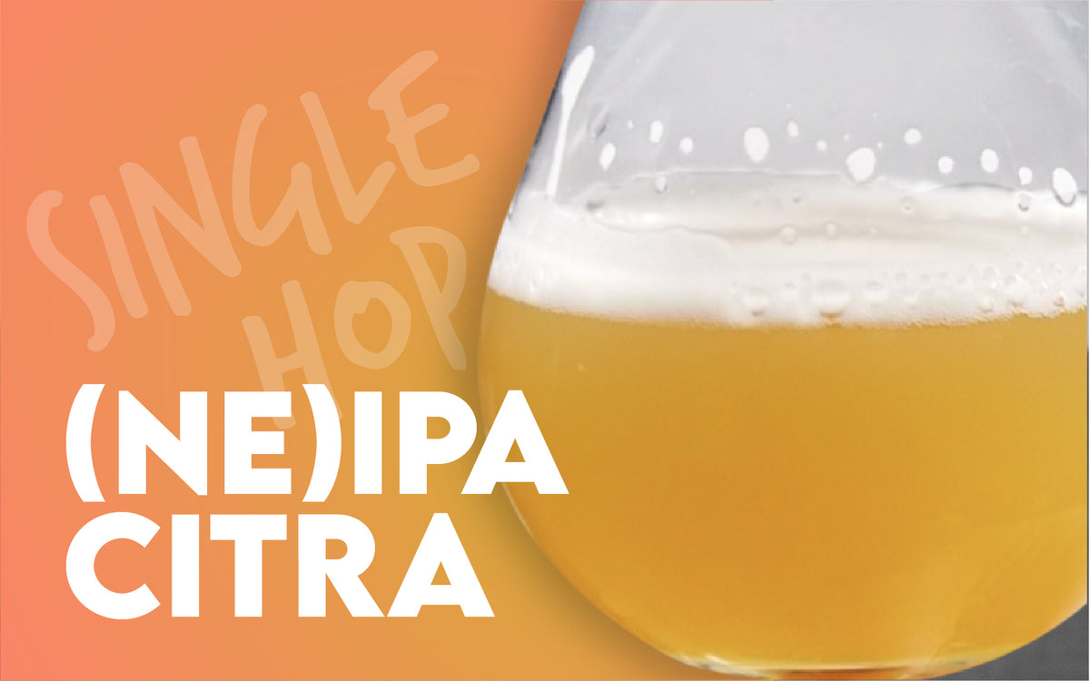 Single Hop Citra - (NE)IPA Américaine – MotlerHops