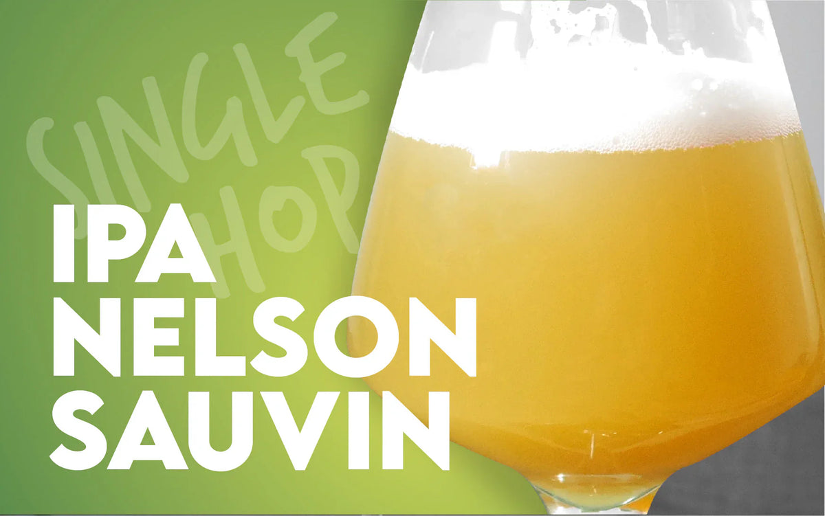 [Recette] Single Hop Nelson Sauvin - IPA Américaine – MotlerHops
